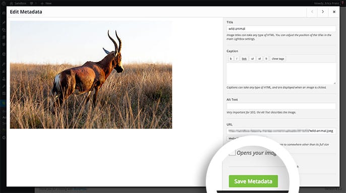 Edit Metadata Screen - Envira Gallery