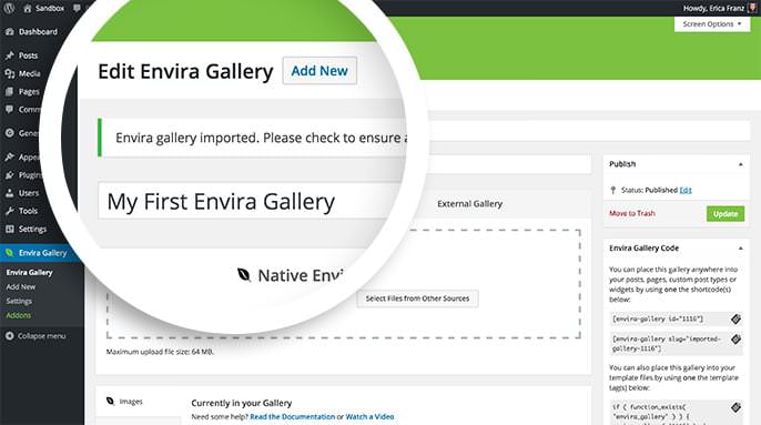 How to Import and Export Galleries - Envira Gallery