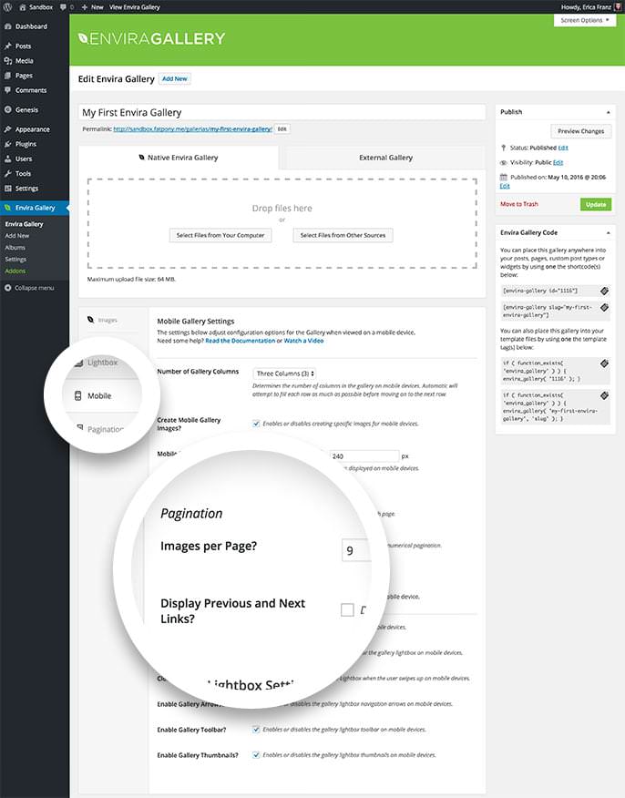 Pagination Addon For Envira Gallery