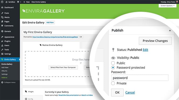 Password Protection Addon — Envira Gallery