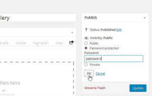 How to Create Password Protected Image Galleries in WordPress
