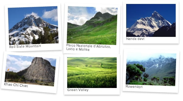 Polaroid Gallery Example - Envira Gallery