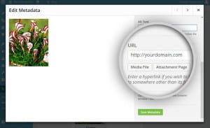 How to Link a Photo to a Website in WordPress