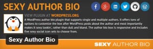 12 Best WordPress Author Bio Box Plugins