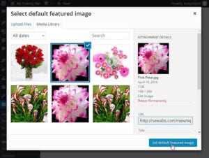 How to Add Post Thumbnails & Set a Default Featured Image in WordPress