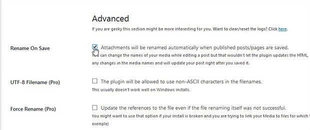 Rename on Save - Envira Gallery