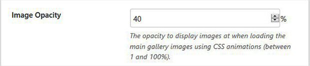 Image Hover Effects - Envira Gallery
