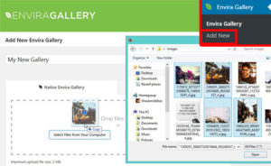 How to Create an Image Widget in WordPress