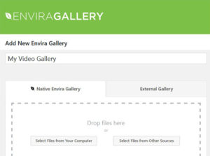 How to Hide Progress Bar on Videos in WordPress