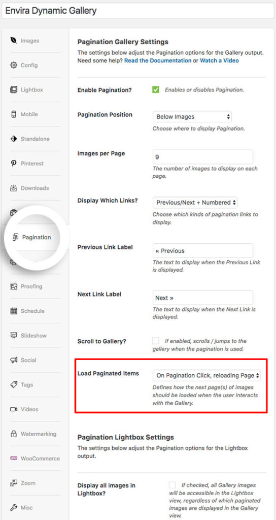 Dynamic Addon - Envira Gallery