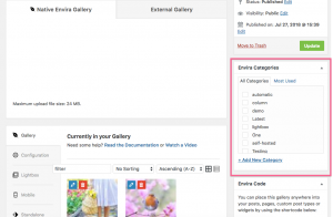 Dynamic Addon - Envira Gallery