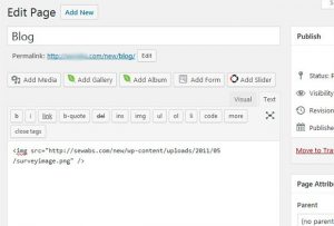 How to Import External Images in WordPress