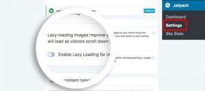 How to use JetPack Lazy Load and Envira’s Lazy Load together - Envira Gallery