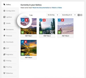 How to Create a PDF Gallery - Envira Gallery