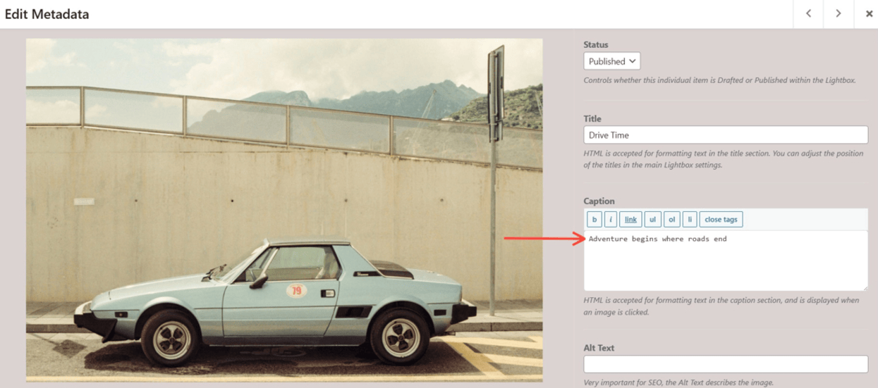How to Add a Link into the Lightbox - Envira Gallery