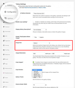 Check for the default image size on the Config Tab - Envira Gallery