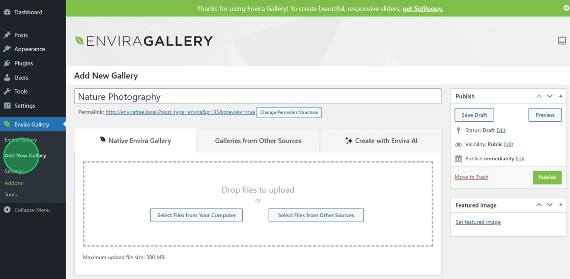 Featured Content Addon - Envira Gallery