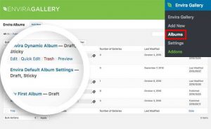 Defaults Addon - Envira Gallery