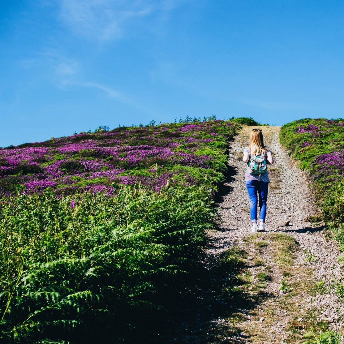 Pinterest Gallery Demo