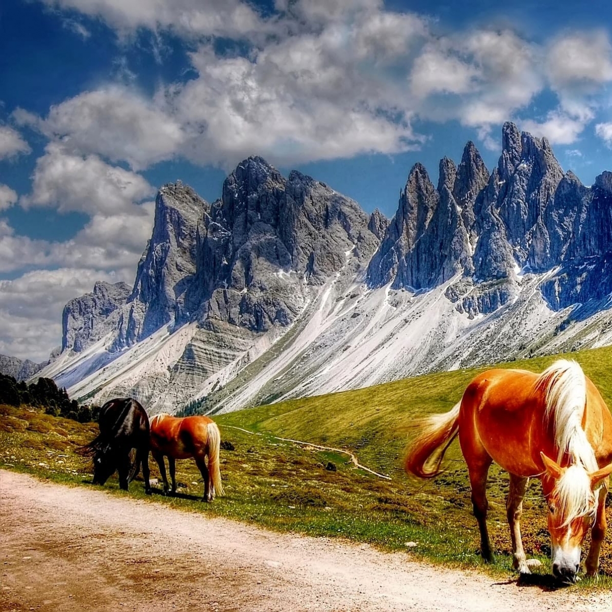 Pinterest Gallery Demo