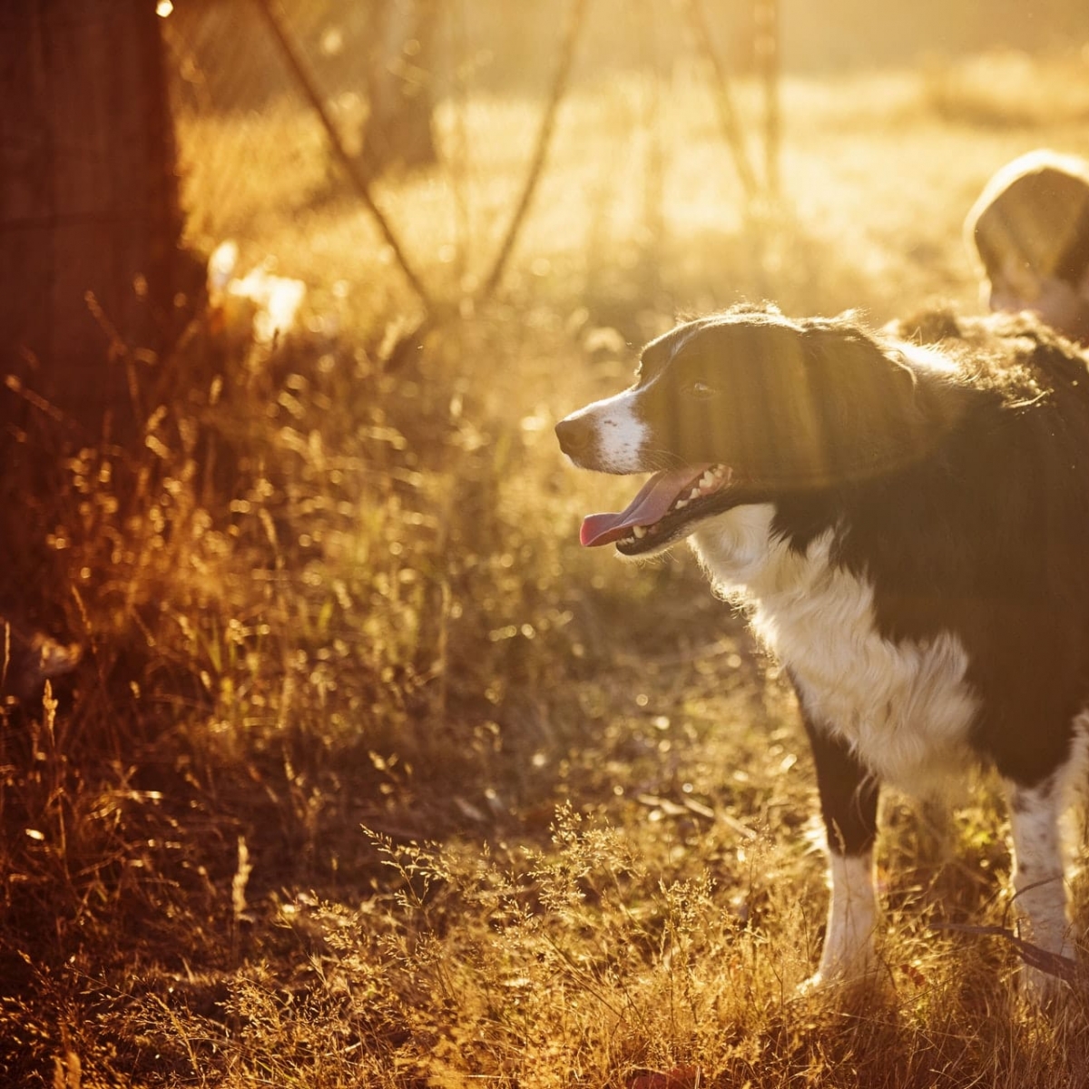 Pinterest Gallery Demo