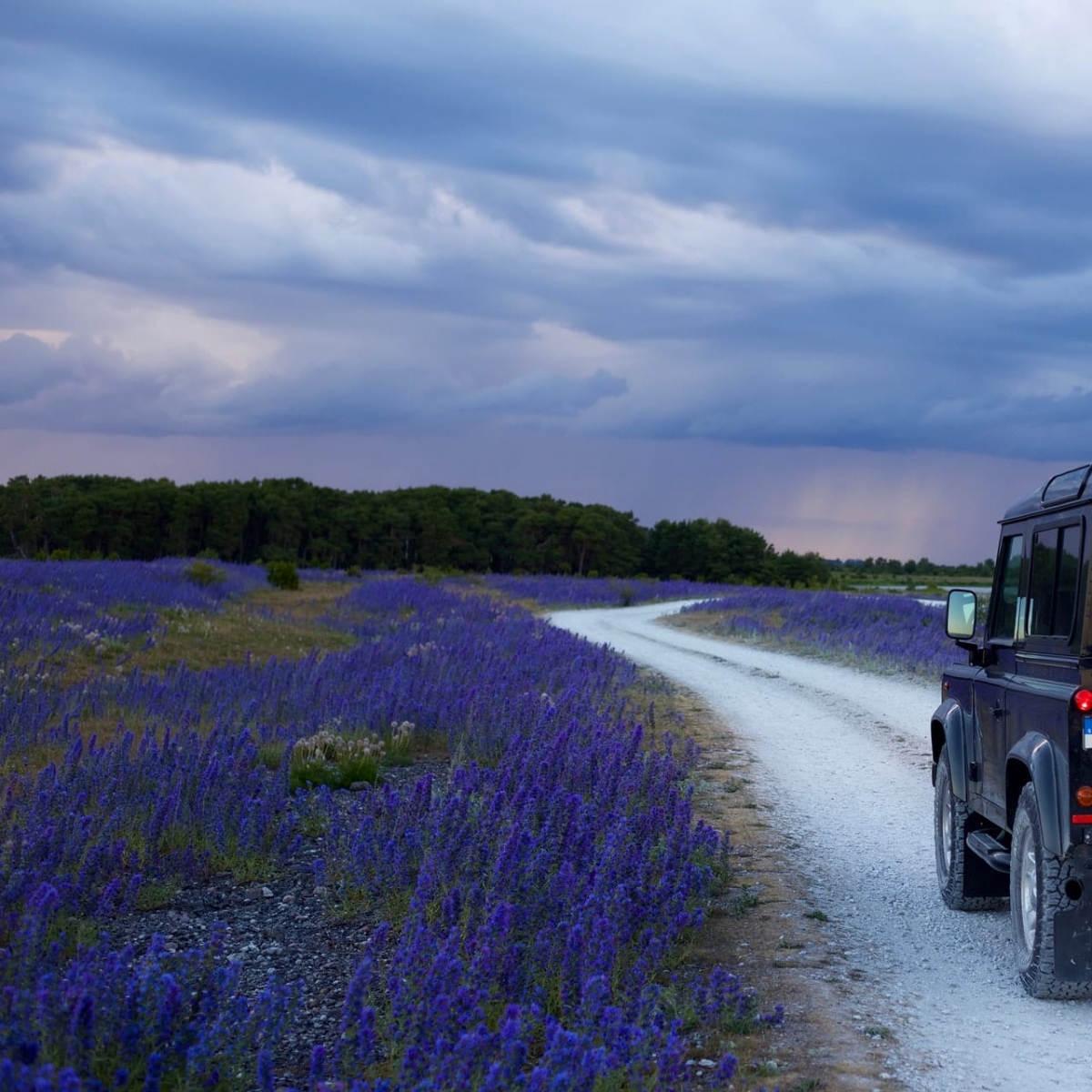 Pinterest Gallery Demo