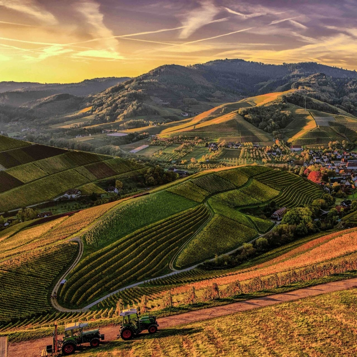 Pinterest Gallery Demo