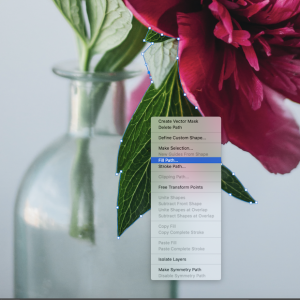 A Beginner’s Guide to Photoshop’s Pen Tool