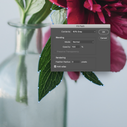 A Beginner’s Guide to Photoshop’s Pen Tool