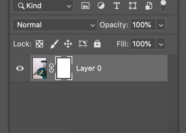 How To Merge A Picture With Background In Photoshop