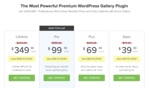 Envira Gallery Review