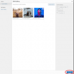 How to Add a Photo Gallery to WordPress
