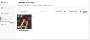How to Enhance Gallery Layouts with Customizable Gallery Themes
