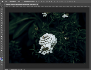 How to Apply Texture to Your Images in Photoshop