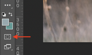 How to Blur Edges in Photoshop