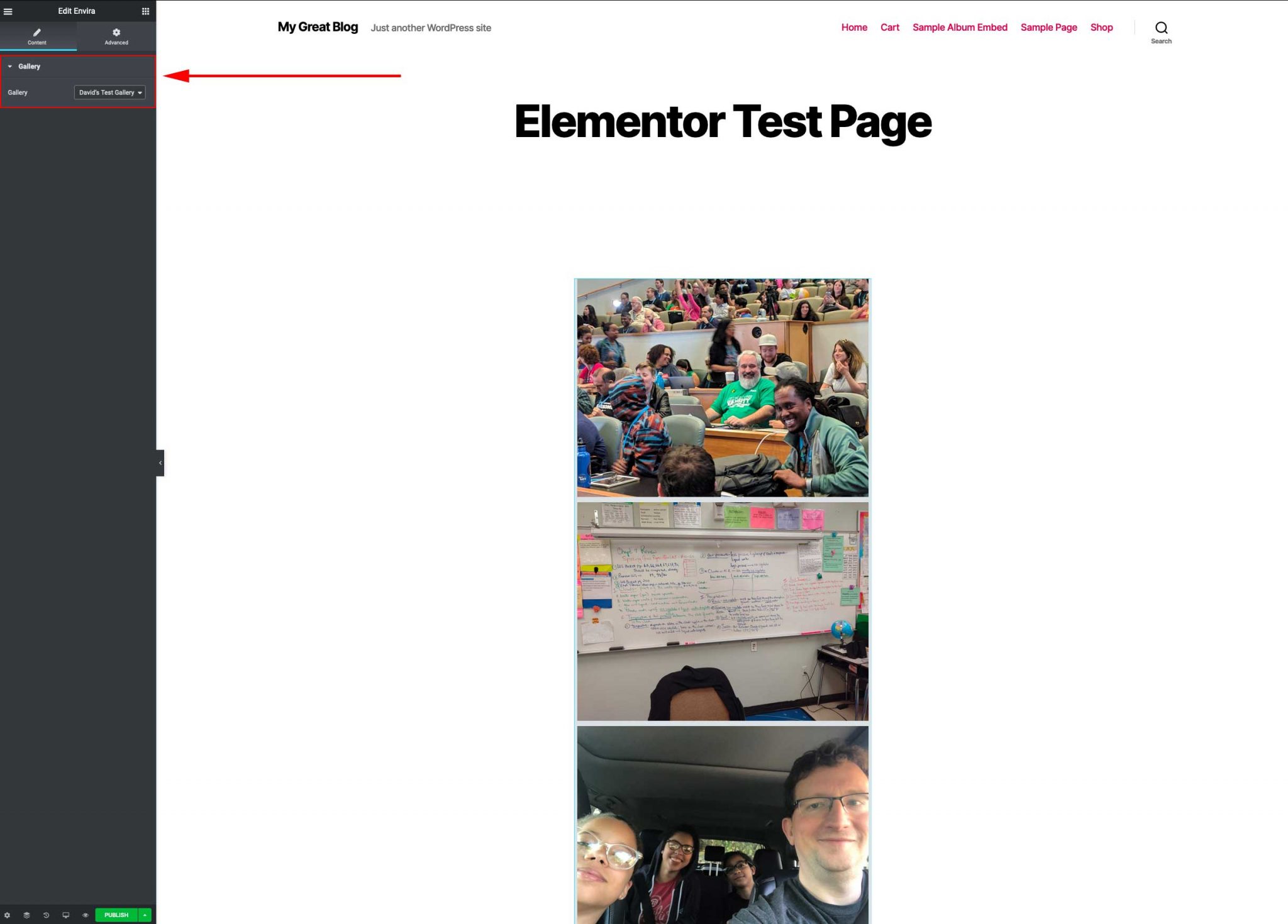 Elementor Addon - Envira Gallery