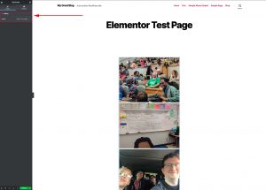 Elementor Addon - Envira Gallery