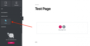 Adding Image Galleries to Your Website Using the Elementor Addon