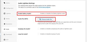Add Audio to Your Envira Galleries with the Audio Addon