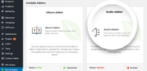 Add Audio to Your Envira Galleries with the Audio Addon