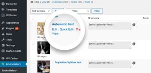 Add Audio to Your Envira Galleries with the Audio Addon