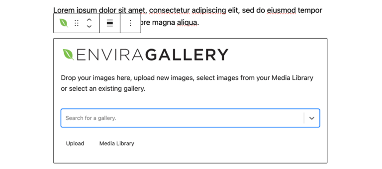 How to Create a WordPress Photo Gallery (Easy Tutorial)