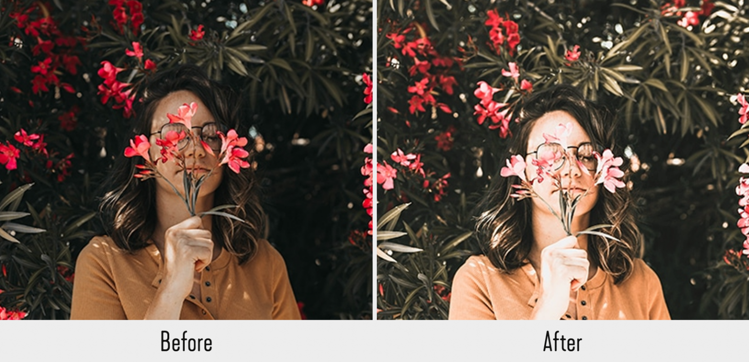 376 of the Best FREE Lightroom Presets: Handpicked for Every Genre