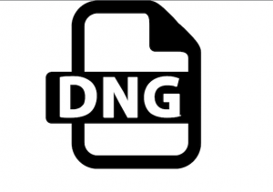 Best Image File Formats for Photographers