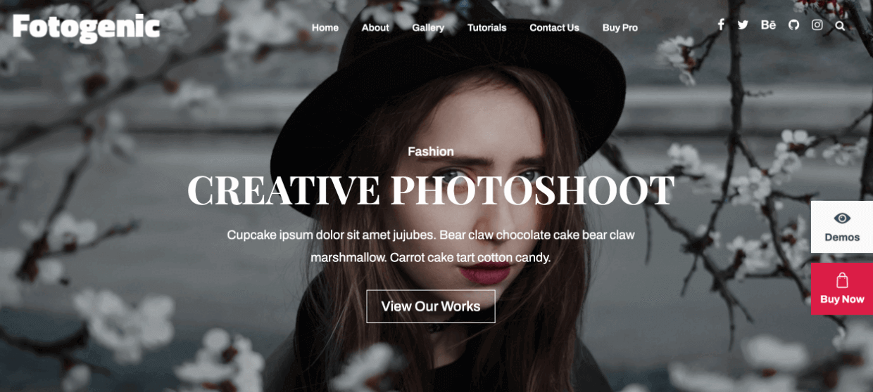 Ultimate List: Best WordPress Photography Themes (40+ Free & Paid)