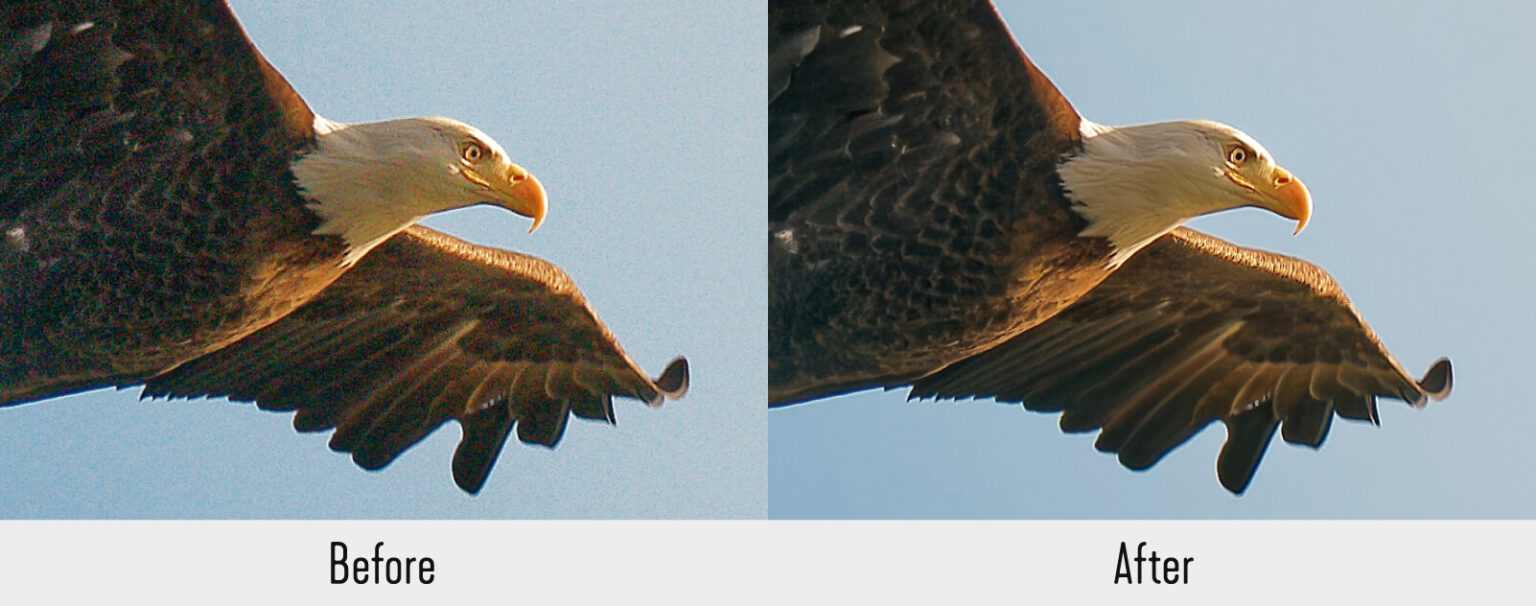 Guide to the Best Photo Editing Software (Tested + Reviewed)