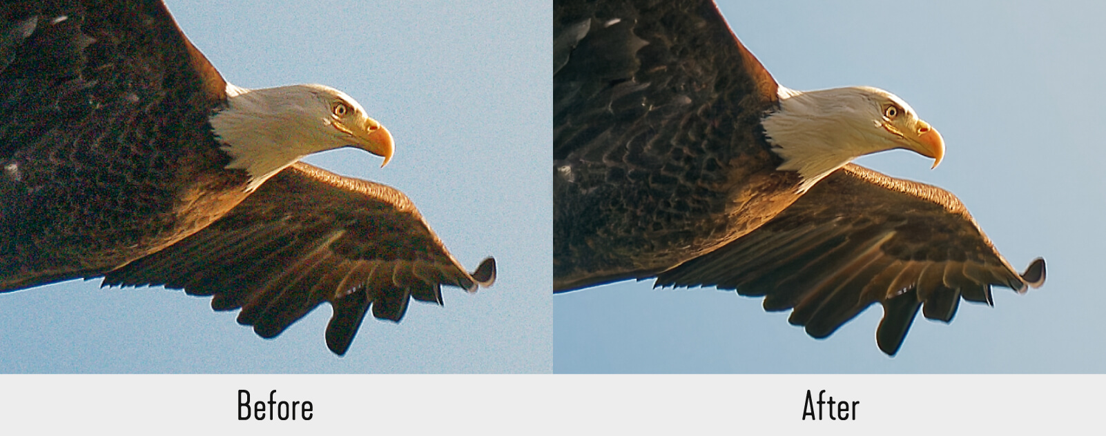 Guide to the Best Photo Editing Software (Tested + Reviewed)