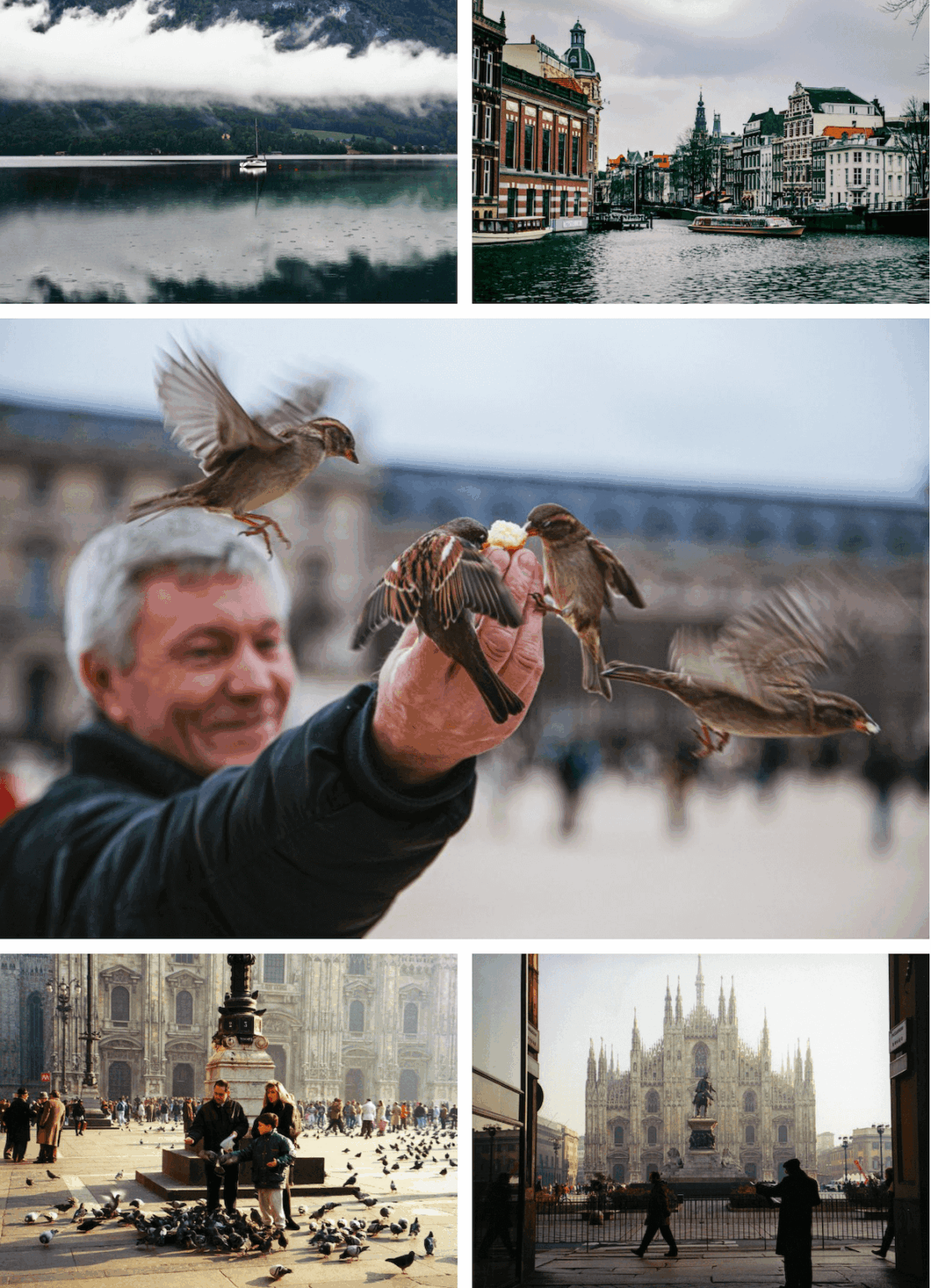 NEW Envira Features: Highlight Grid Layout & Dribbble Addon